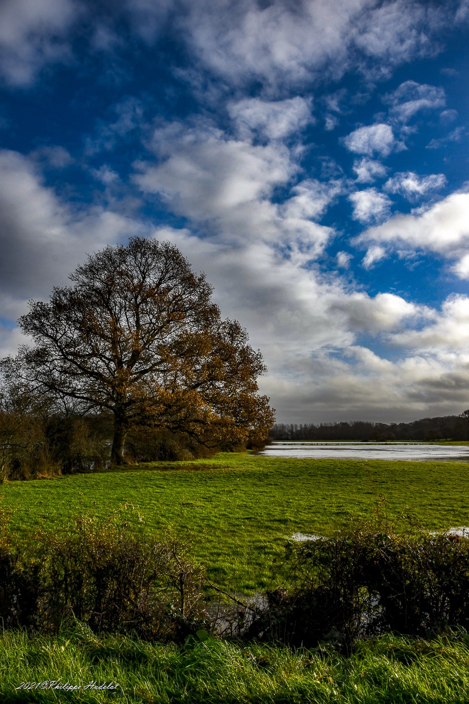 Néhou, commune pittoresque au cœur du Cotentin - Philippe Hudelot ...